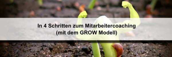 In 4 Schritten zum Mitarbeitercoaching (das GROW Modell)